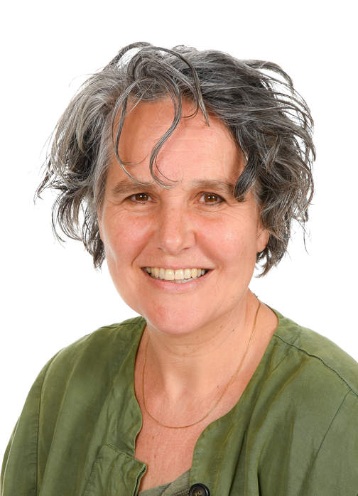 Ons schoolteam - Stroming